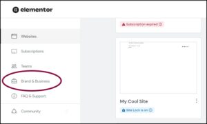 Set Up Custom Email Accounts » Elementor