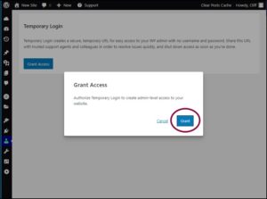 How do I issue temporary credentials to support? | Elementor
