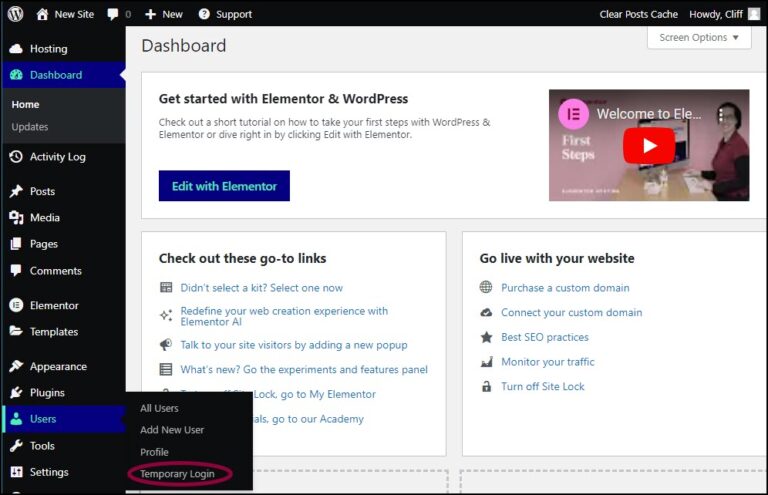 How do I issue temporary credentials to support? | Elementor