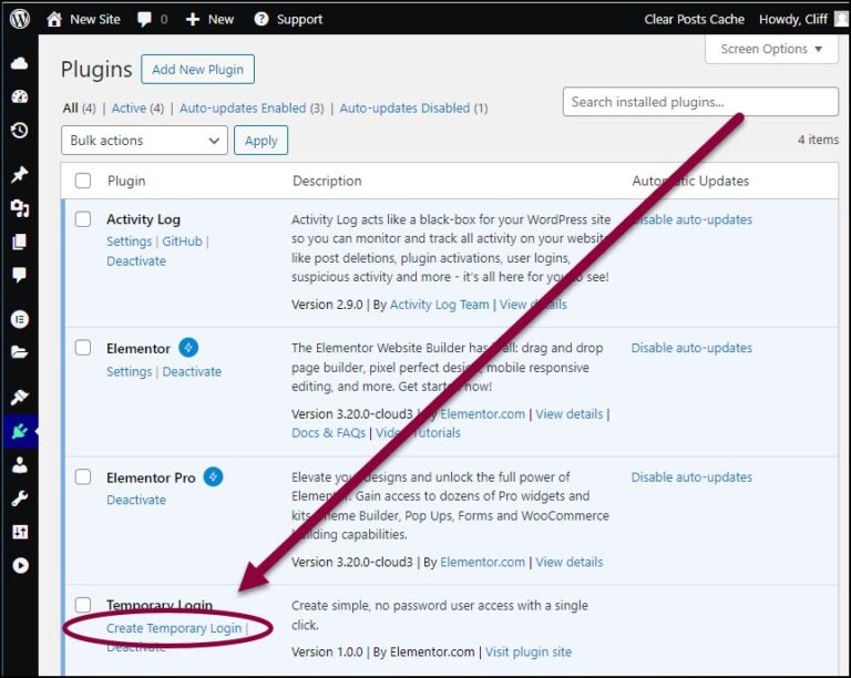 How do I issue temporary credentials to support? | Elementor