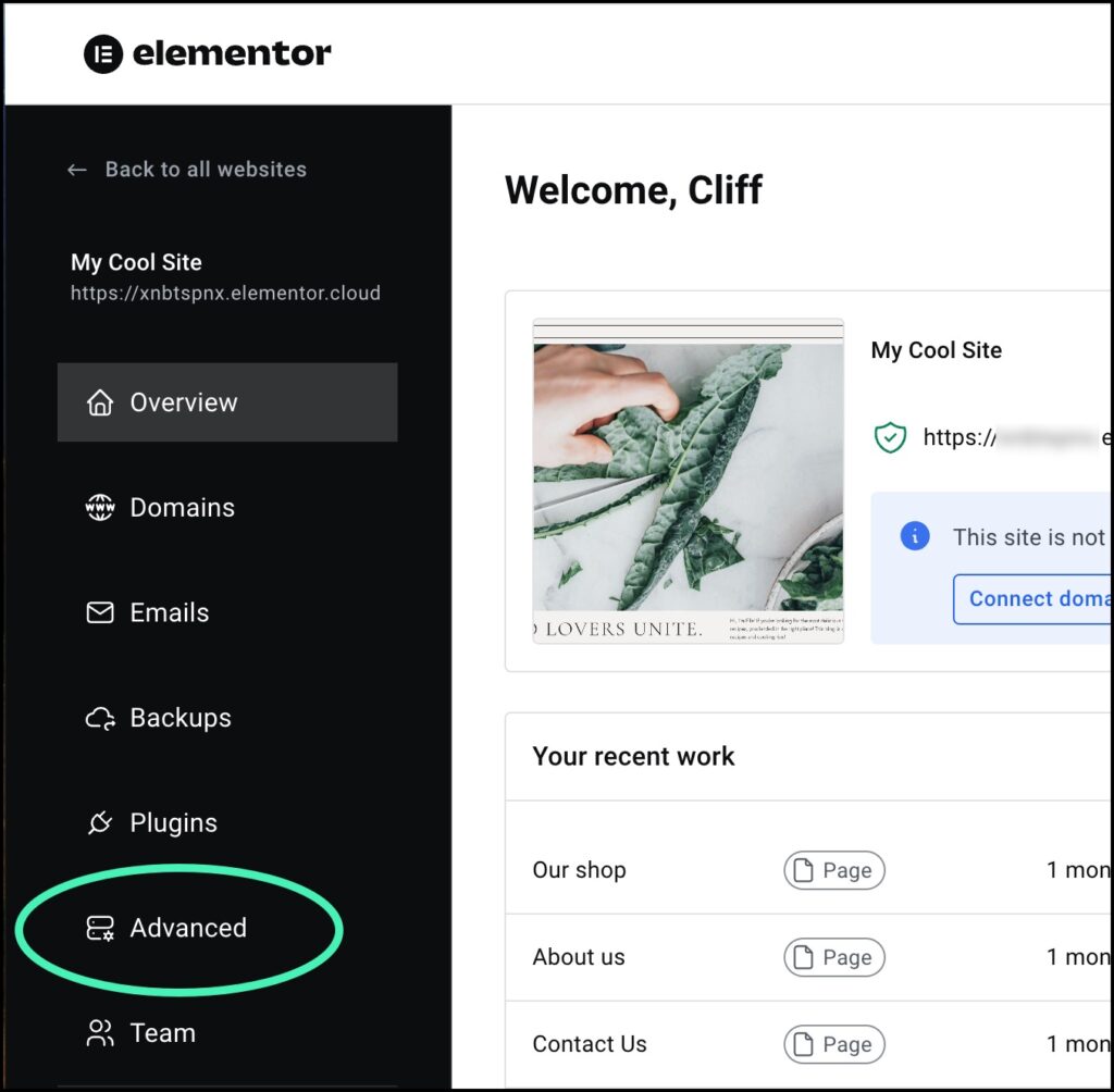 Enable media fallback | Elementor