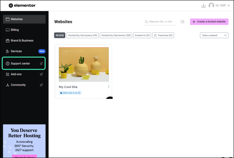 Delete a user account | Elementor