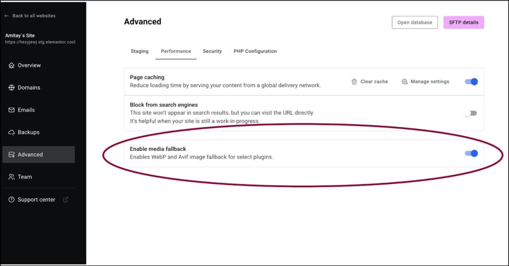 Enable media fallback | Elementor