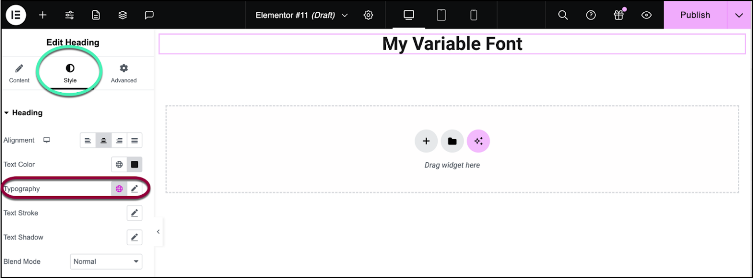 Use Variable Fonts | Elementor