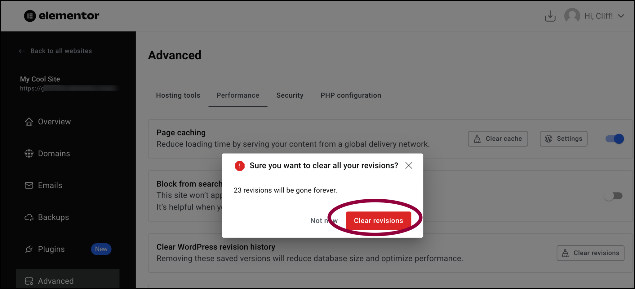 Clear revision history for Elementor Host websites | Elementor