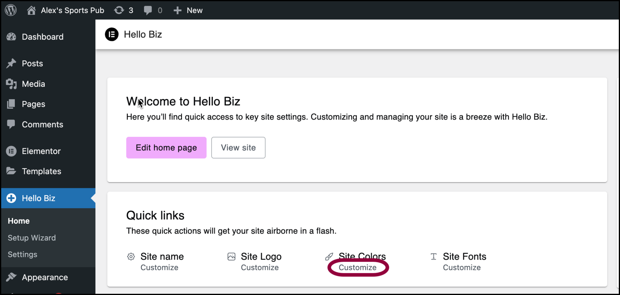 Customize your Hello Biz site settings | Elementor