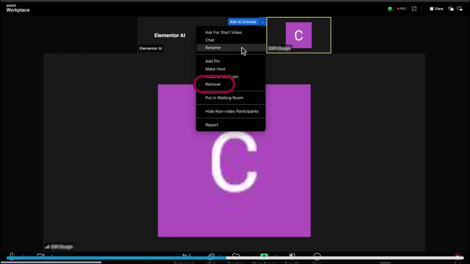 Create A Website With A Zoom Meeting » Elementor