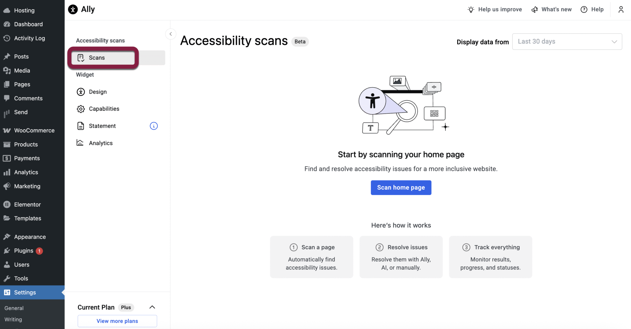 Get Started with the Accessibility Assistant | Elementor