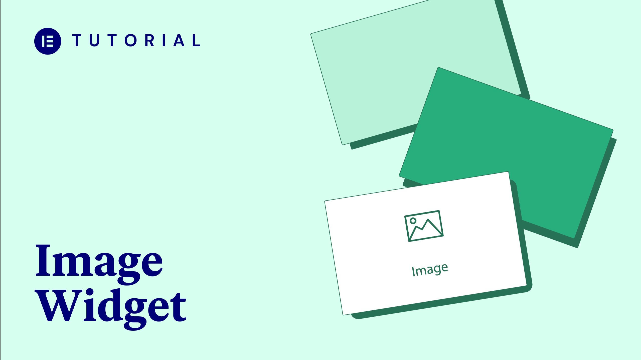 How to Use the Image Widget - Academy