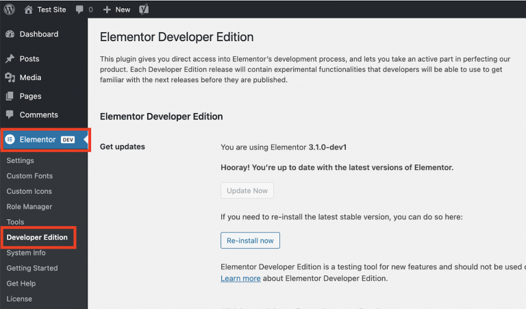 Introducing Elementor Beta Developer Edition: A New Way for Developers to Impact Elementor