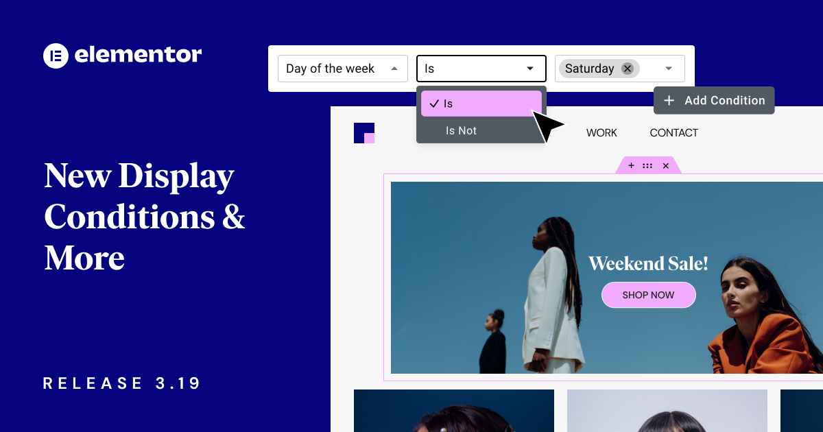Introducing Elementor 3.19: Display Conditions, Role Permissions in the Element Manager, and ...